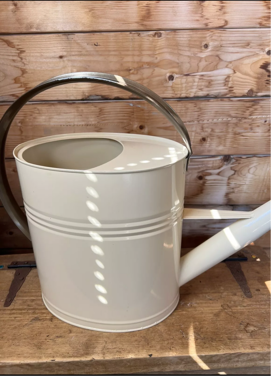 Metal cream watering can – Quirky Plants
