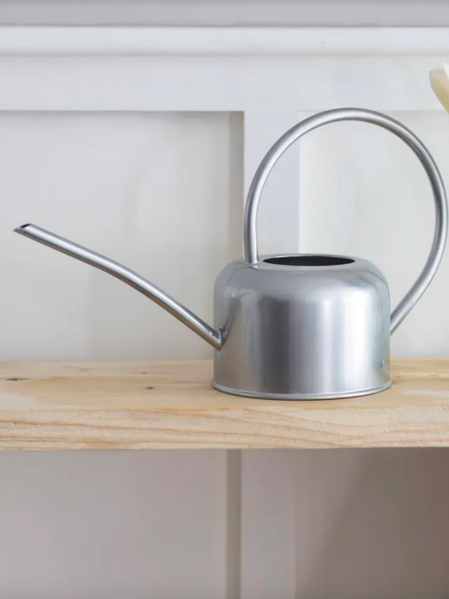 1.1L Indoor Watering Can | Silver – Quirky Plants