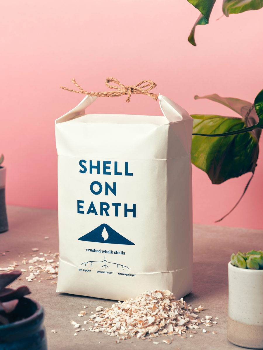 Shell On Earth | Responsibly Sourced Crushed Whelk Shells – Quirky Plants